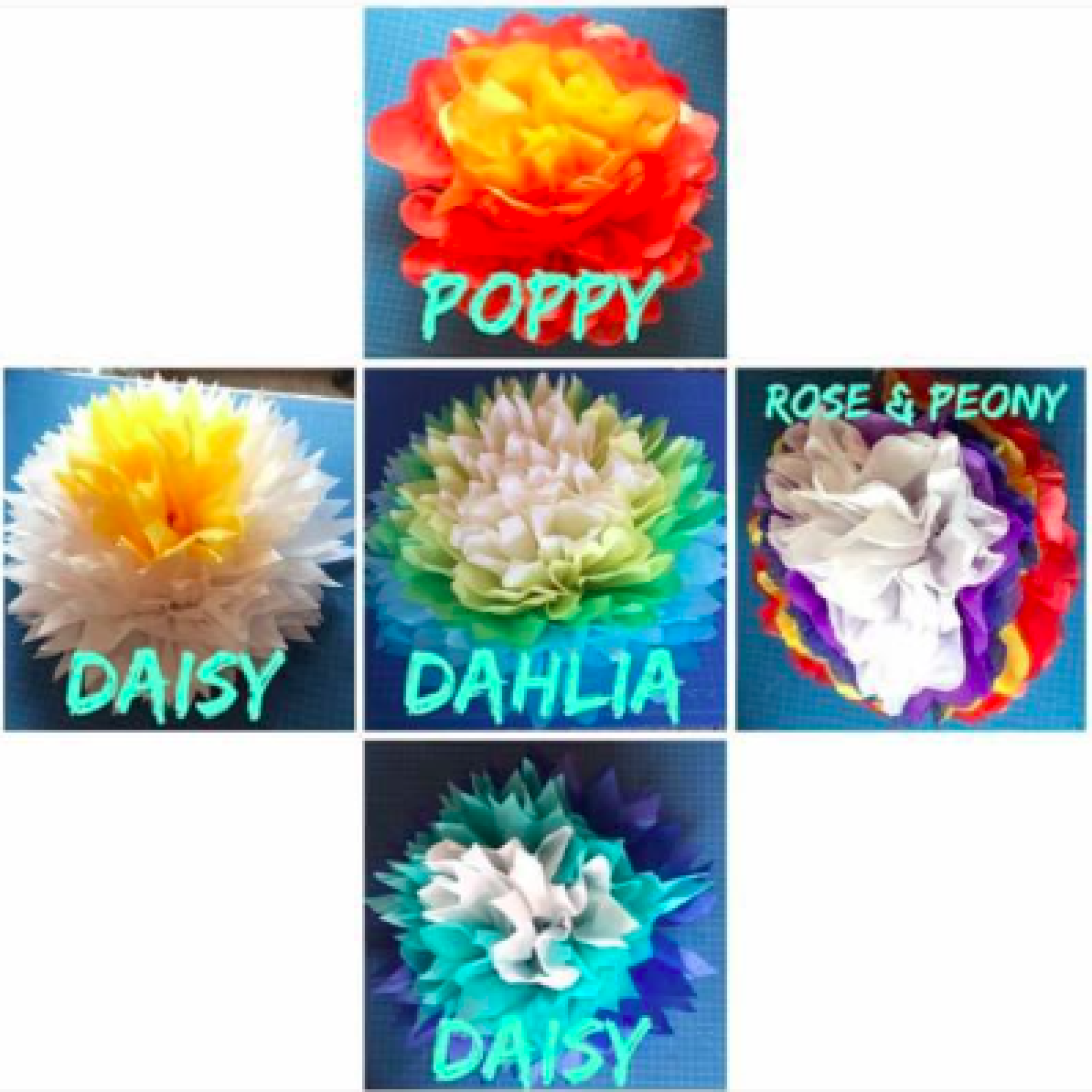 DIY: A Giant Paper Flower | Easthampton City Arts