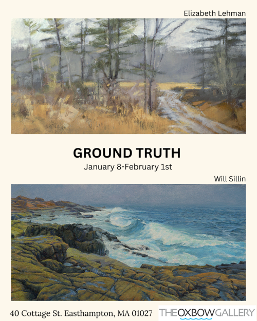 Will Sillin and Elizabeth Lehman at Oxbow Gallery in "Ground Truth ...